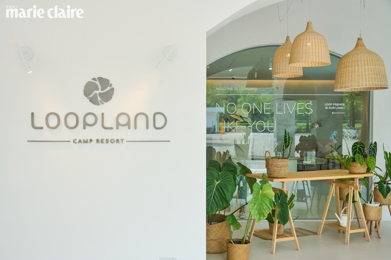 入住綠野隱奢森林仙境 LOOPLAND 露營車海島 Villa 過喜歡的綠洲生活旅宿