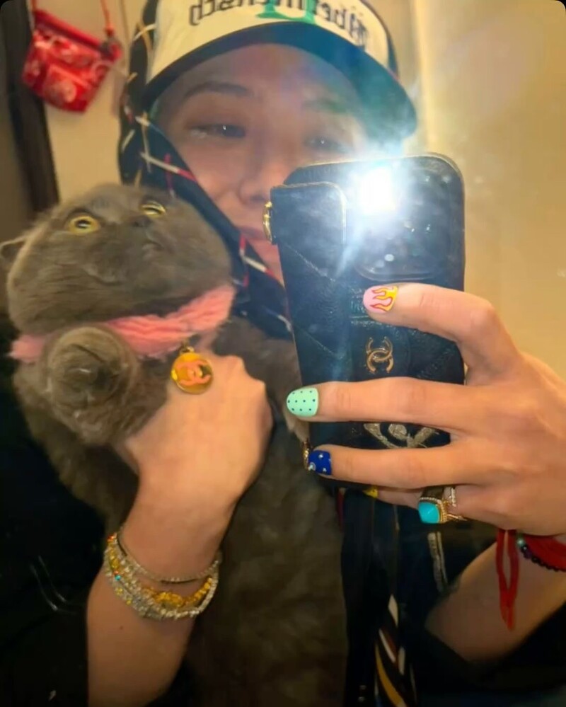 GD愛貓Zoa快閃店「ZO&FRIENDS」入場規則是什麼？台灣站8月登場，超萌玩偶太想收